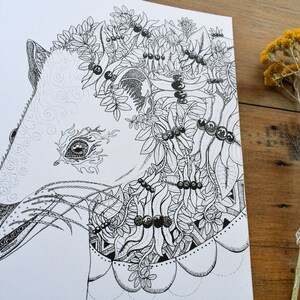 Printable Australian Flora and Fauna Colouring Book - Etsy