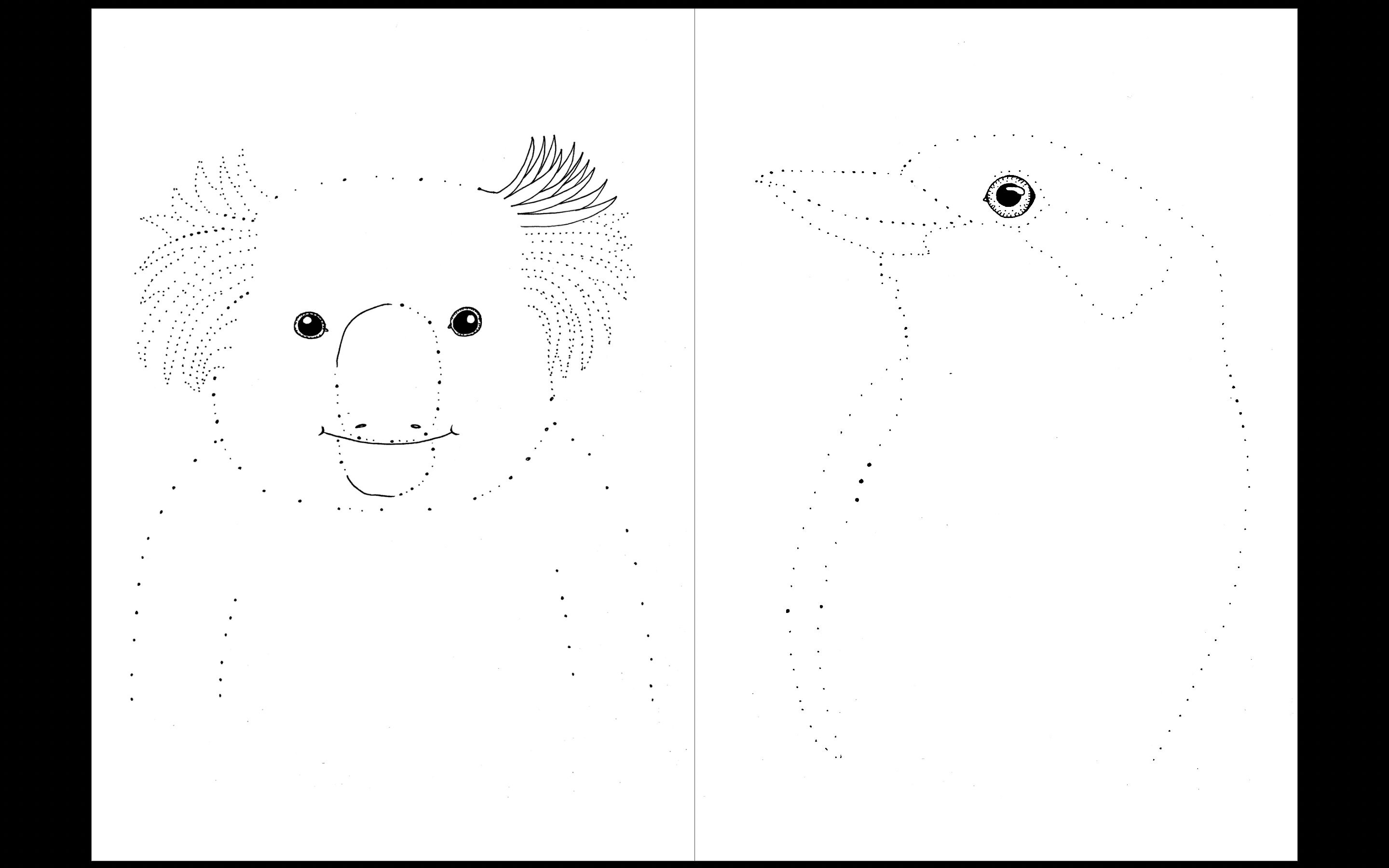 Printable Australian Animal Dot-to-Dot Book Instant Download | Etsy