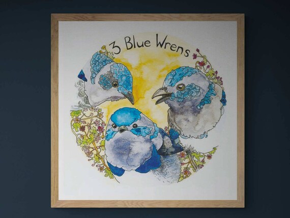 Blue Wrens Print Australian Native Bird Illustration - Etsy Australia
