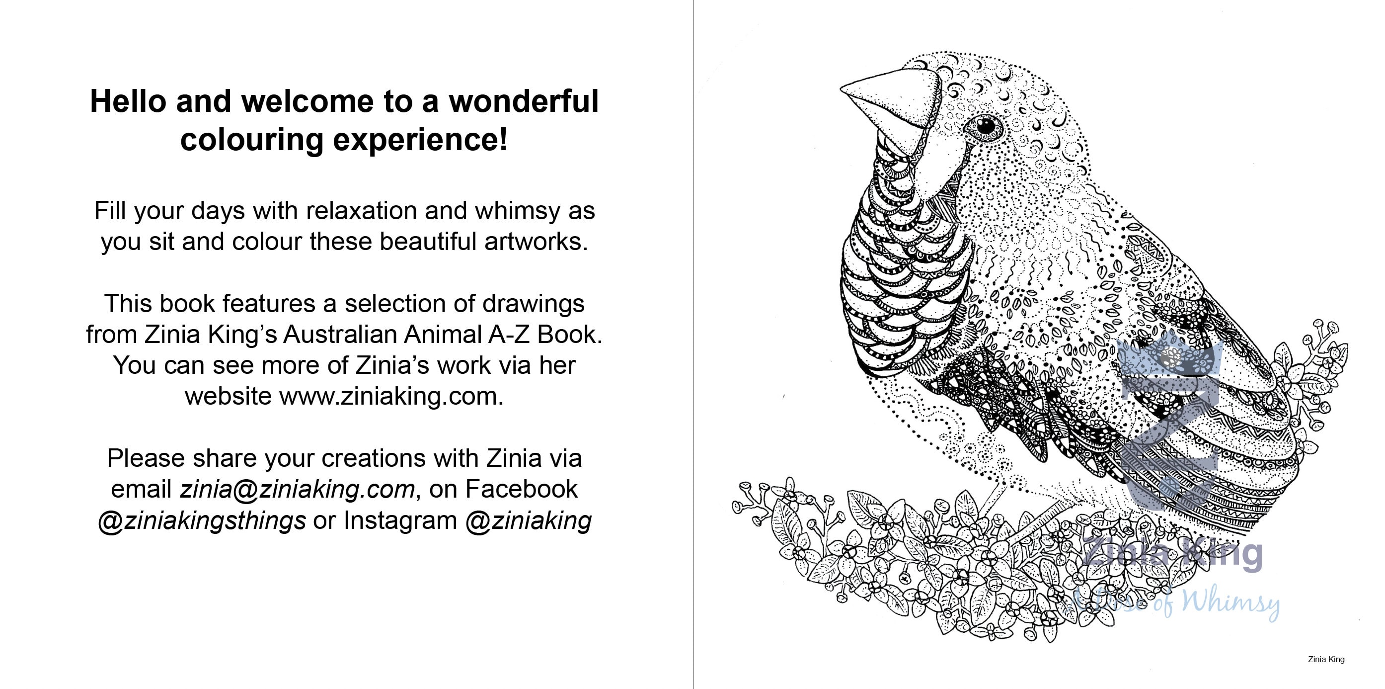 Printable Australian Animal Colouring Book Instant Download - Etsy ...