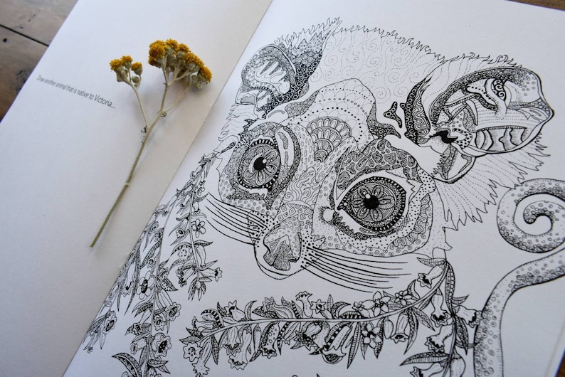 Printable Australian Flora and Fauna Colouring Book - Etsy