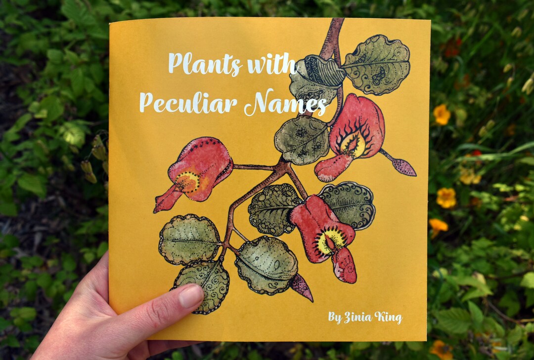 Plants With Peculiar Names Children's Book Whimsical Australian Flora ...