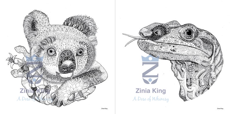Printable Australian Animal Colouring Book Instant Download | Etsy