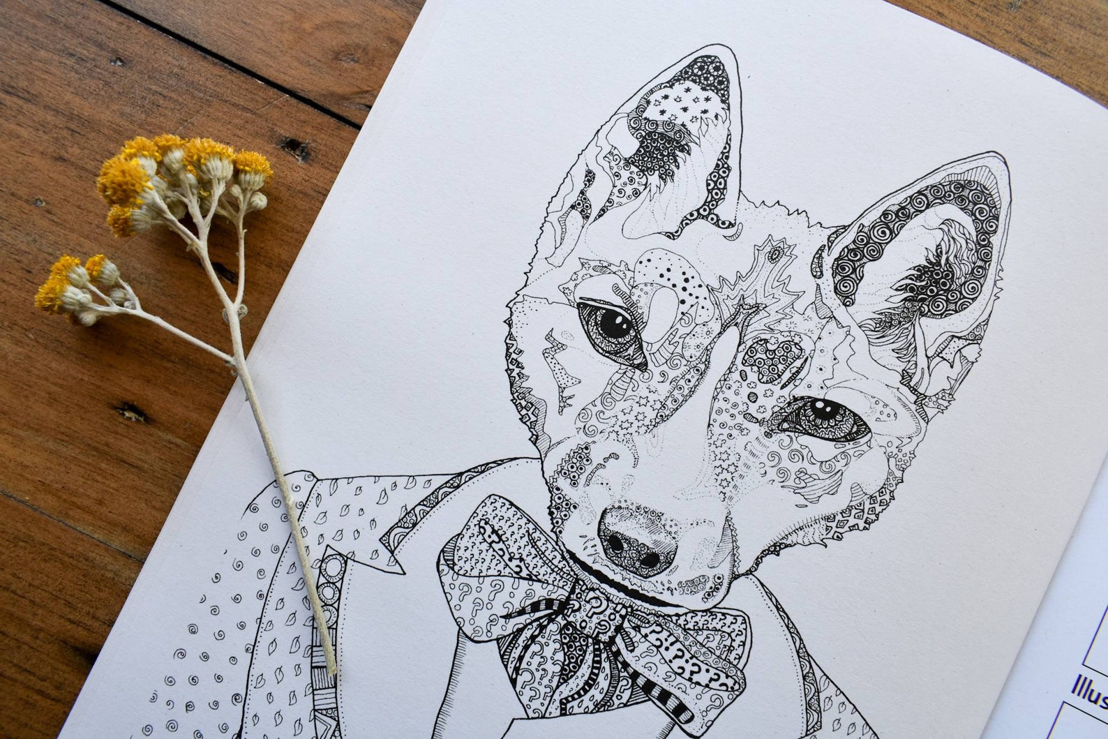 Anthropomorphic Australian Animal Colouring and Activity Book - Etsy ...