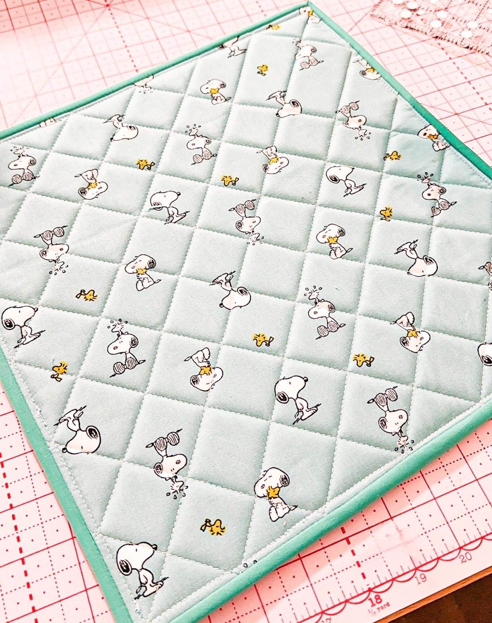 Snoopy Project Bag - Etsy