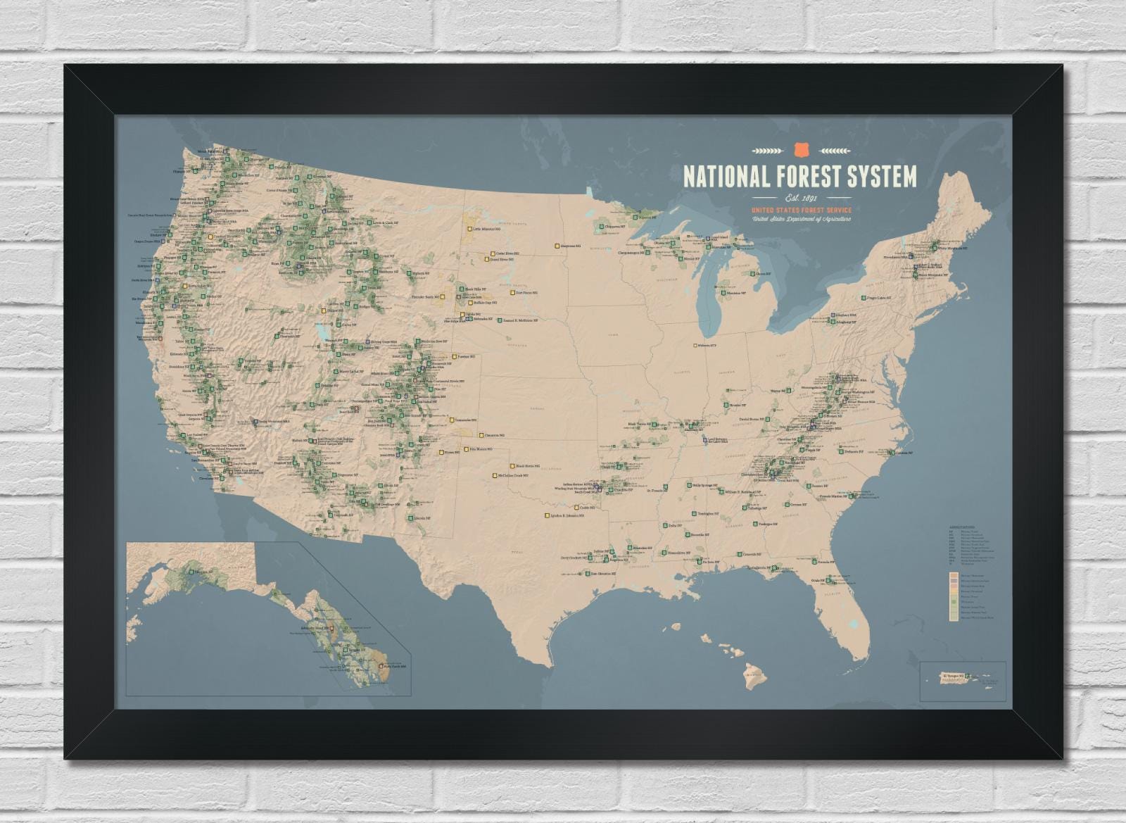 US National Forest System Map 24x36 Poster - Etsy