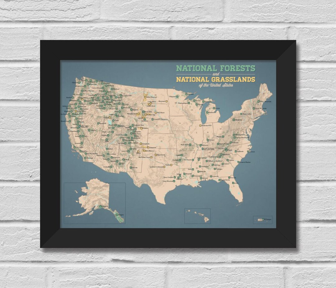 US National Forests Map 11x14 Print - Etsy
