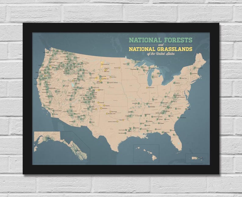 US National Forests Map 18x24 Poster - Etsy