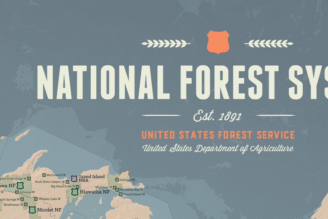 US National Forest System Map 24x36 Poster - Etsy