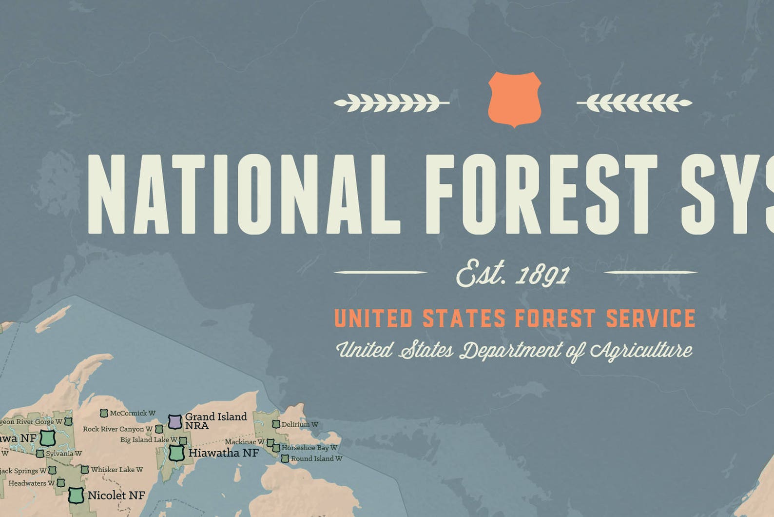 US National Forest System Map 24x36 Poster - Etsy