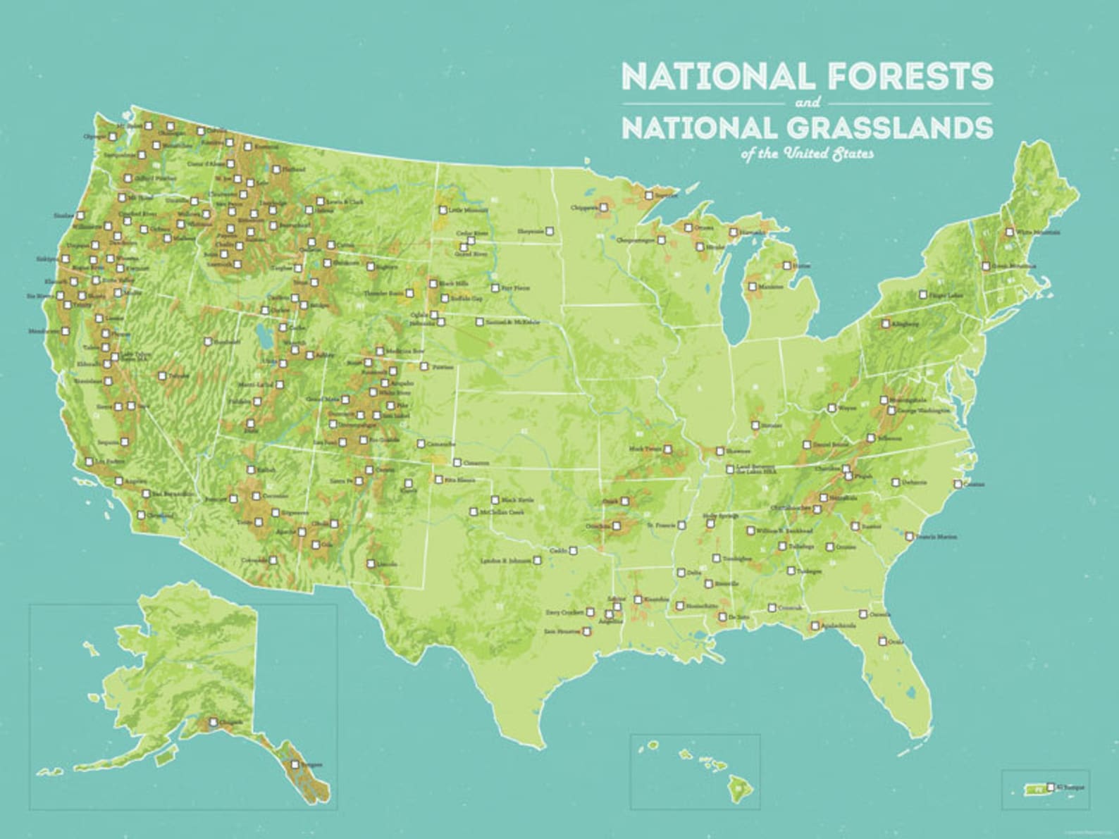 US National Forests Map 18x24 Poster | Etsy