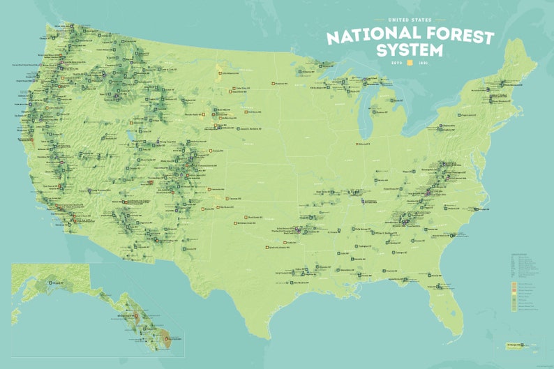 US National Forest System Map 24x36 Poster - Etsy