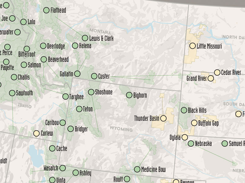 US National Forests Map 18x24 Poster | Etsy