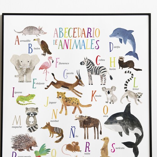 Animal Poster 50x70 Poster Animal Alphabet A to Z - Etsy