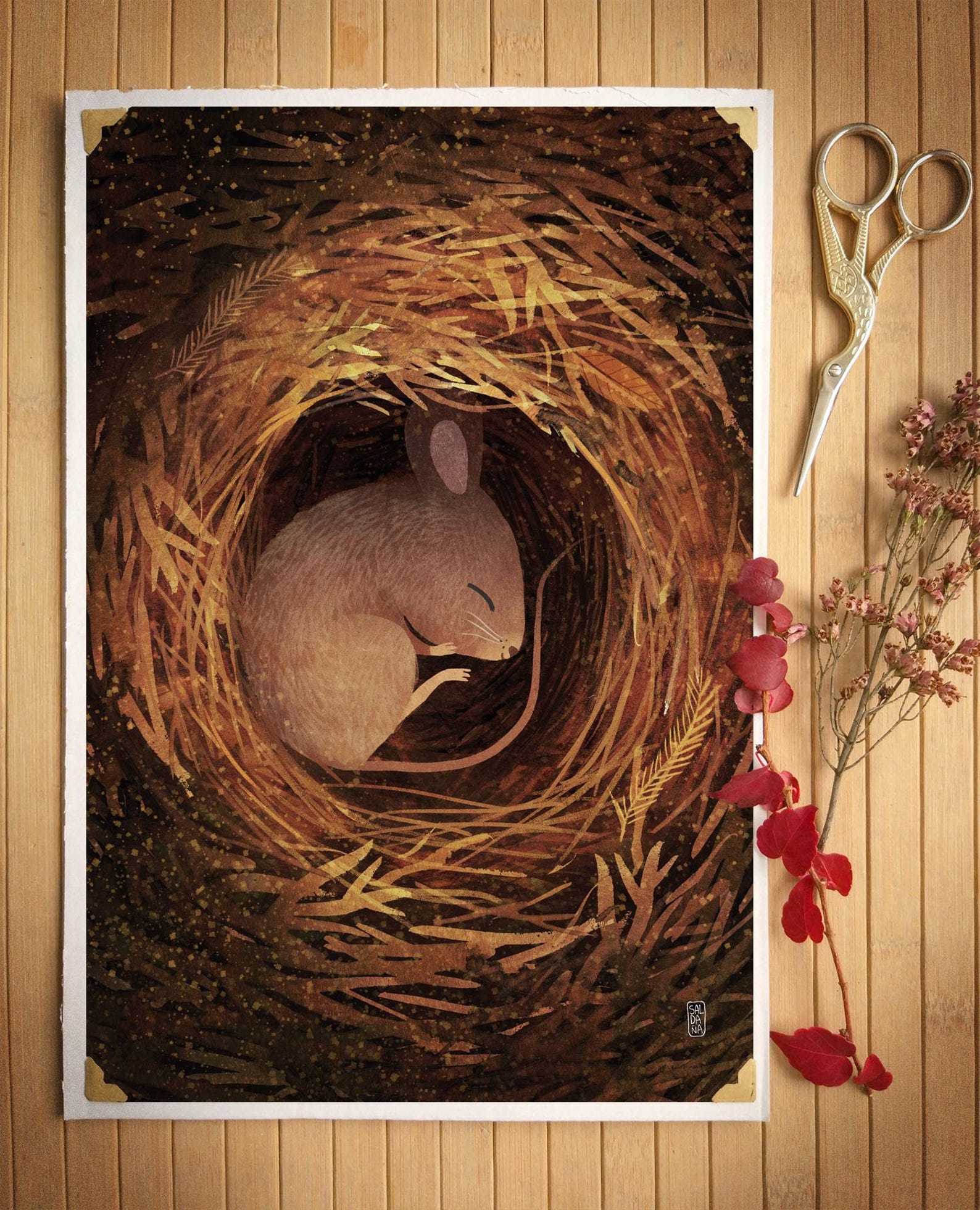 The Little Mouse's Nap Print | Print 21x30 | Fantasy Illustration ...