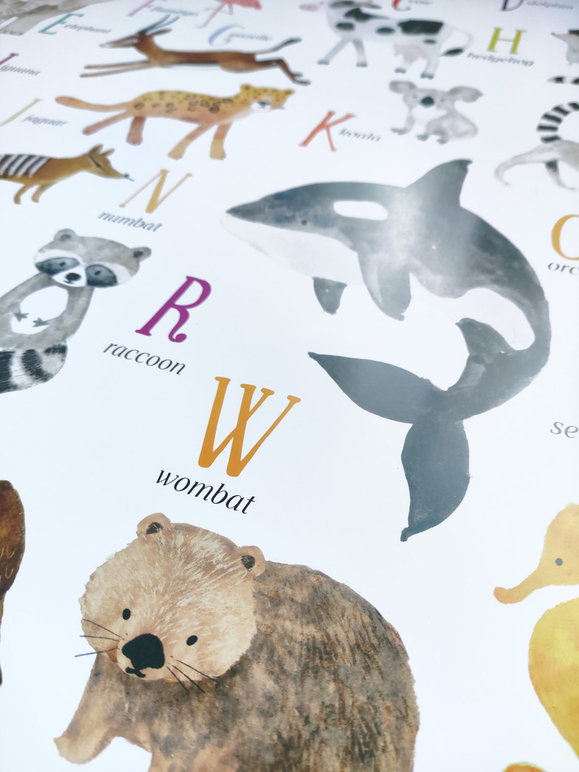 Animal Poster | 50x70 Poster | Animal Alphabet | A to Z Animals ...