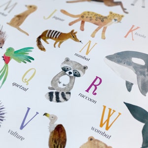 Animal Poster | 50x70 Poster | Animal Alphabet | A to Z Animals ...