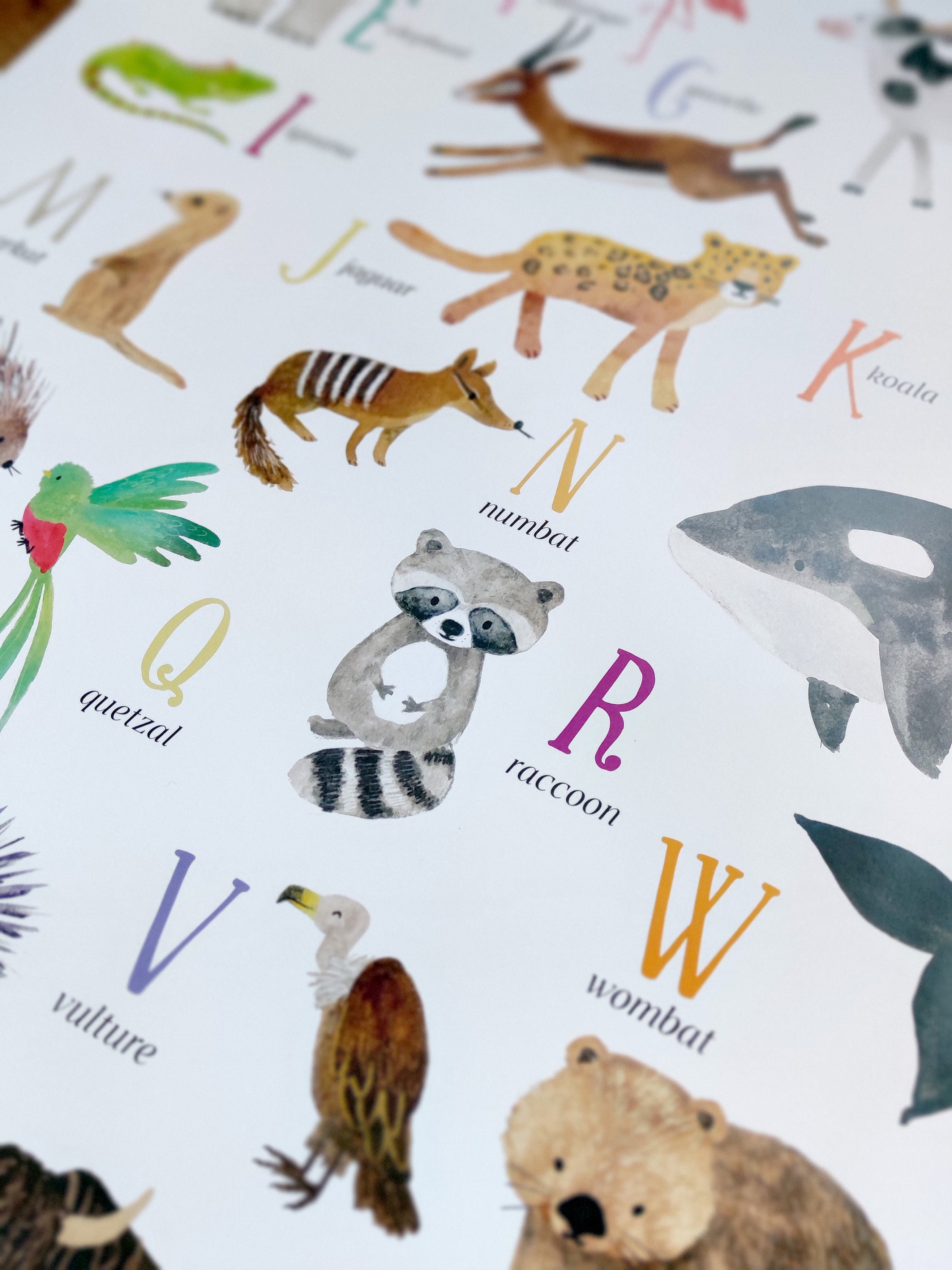 Animal Poster | 50x70 Poster | Animal Alphabet | A to Z Animals ...