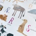 Poster Abecedario de Animales Poster 50x70 Print A3 Alfabeto ilustrado ...