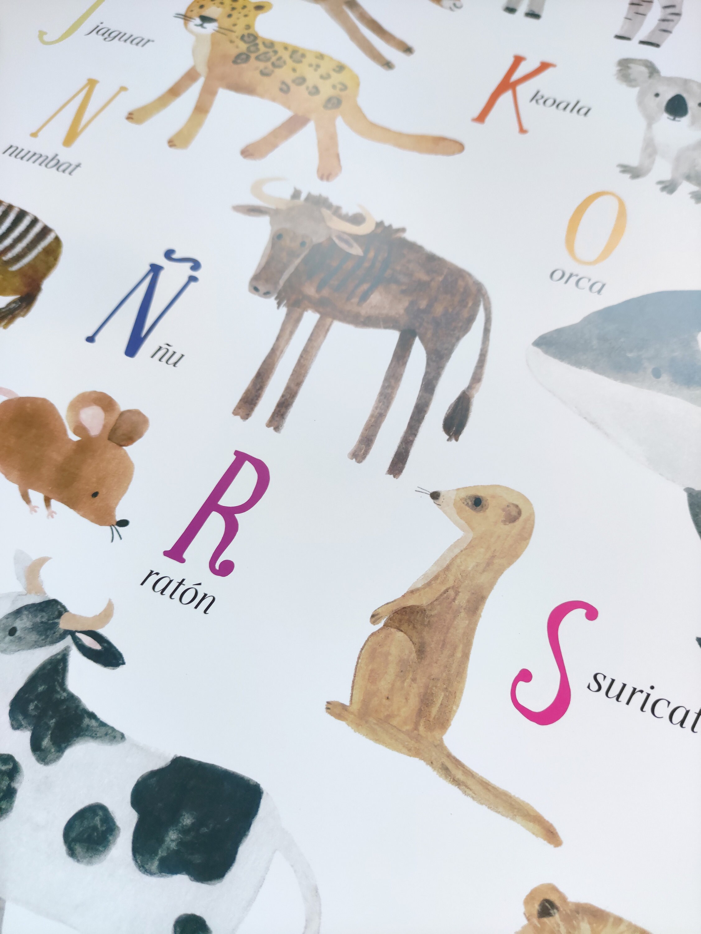 Poster Abecedario de Animales Poster 50x70 Print A3 - Etsy España