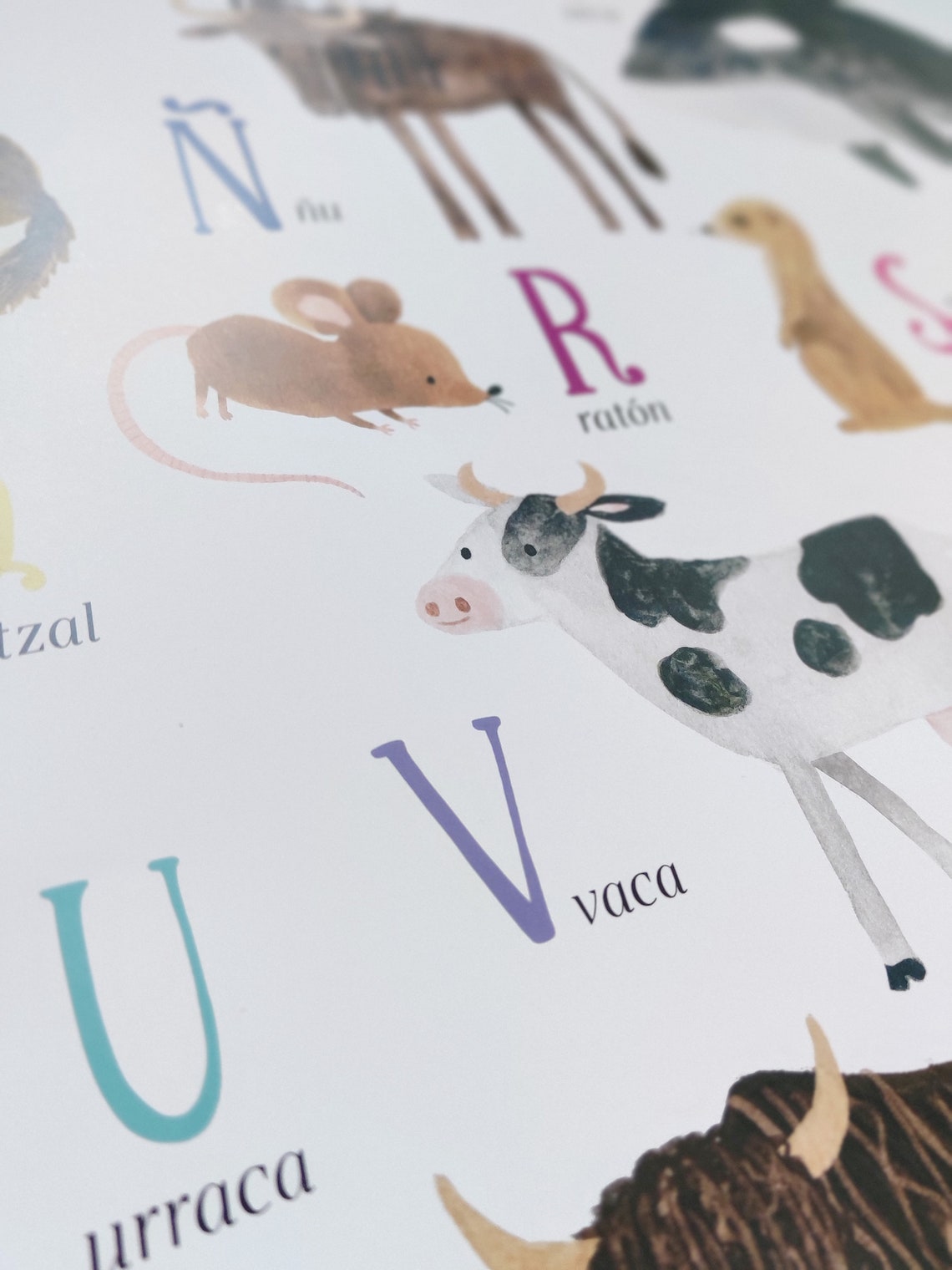 Poster Abecedario de Animales Poster 50x70 Print A3 - Etsy España