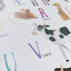 Poster Abecedario de Animales Poster 50x70 Print A3 Alfabeto ilustrado ...