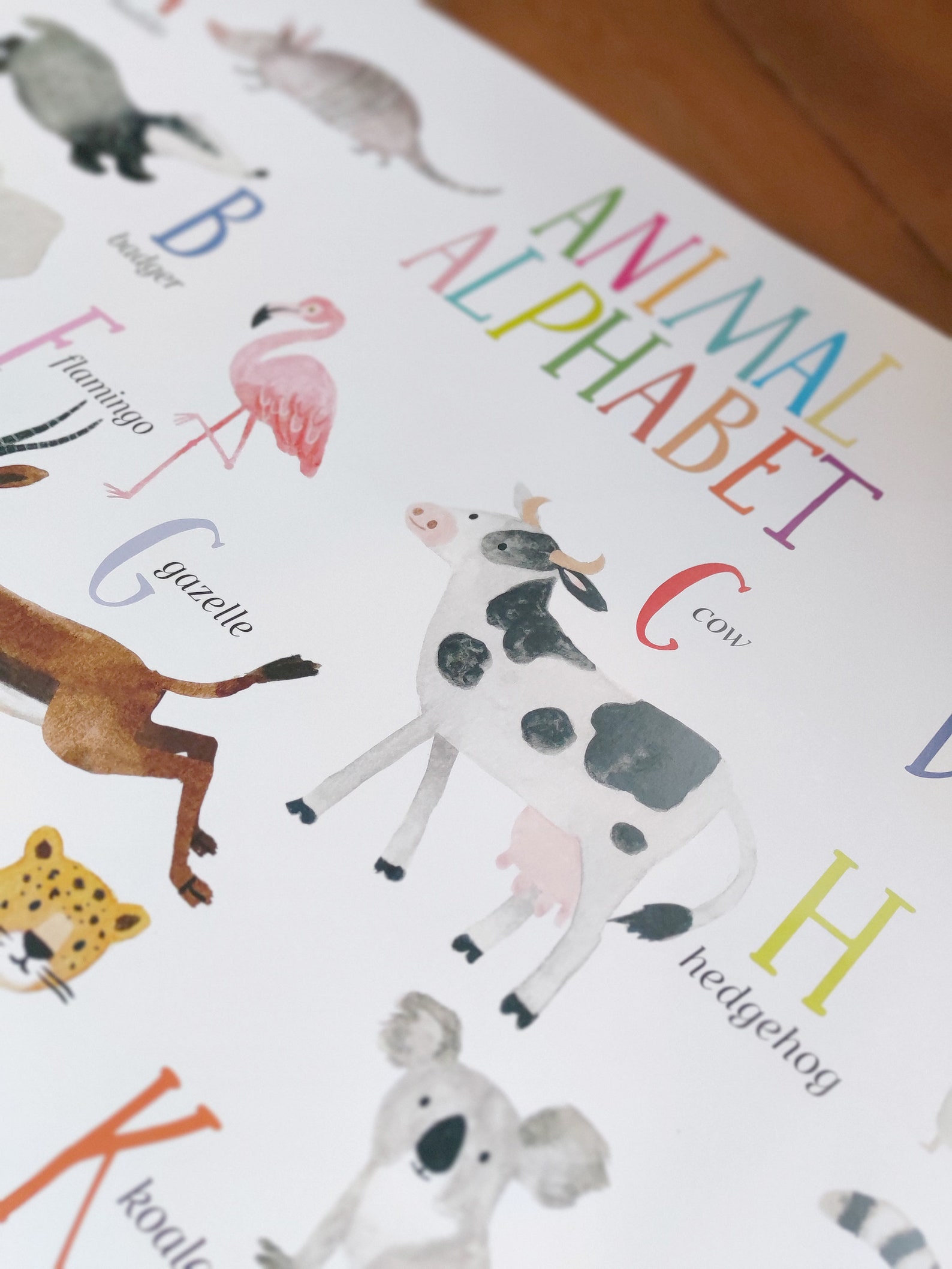 Animal Poster | 50x70 Poster | Animal Alphabet | A to Z Animals ...