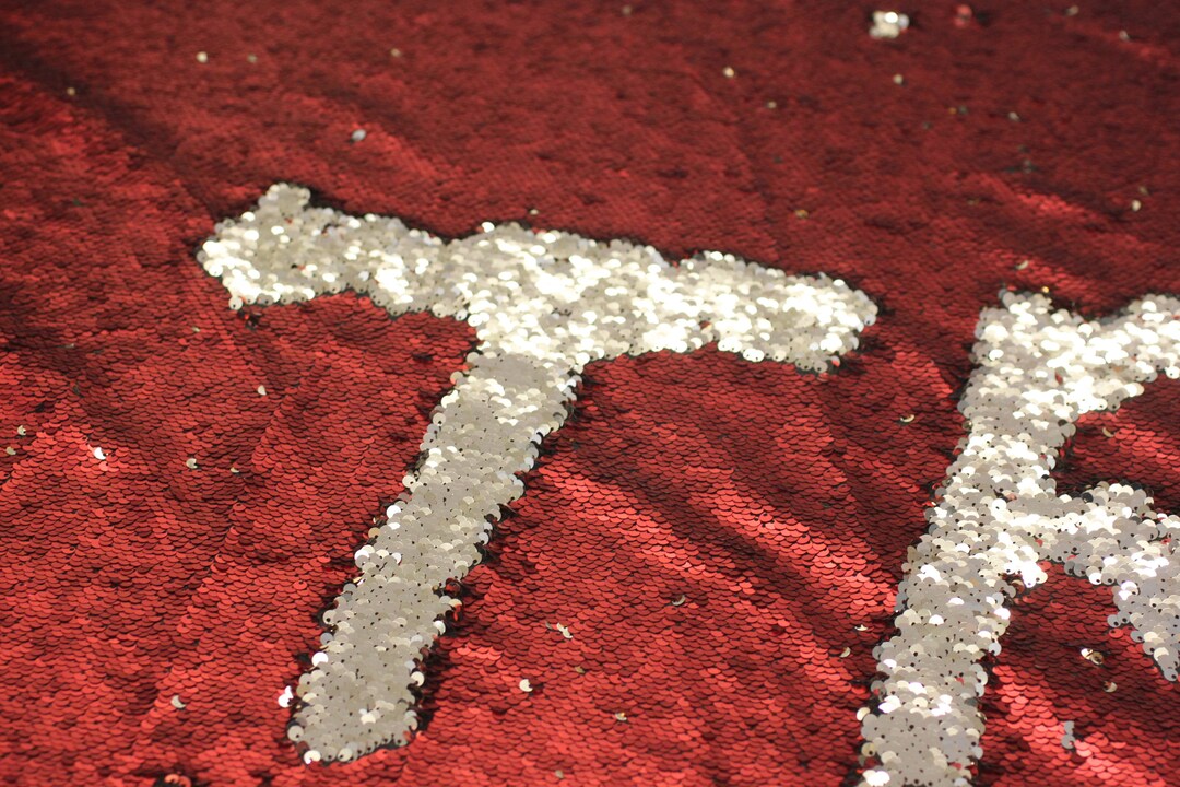 Mermaid Reversible Fabric Matt Red & Silver,sparkle Sequins Changes ...