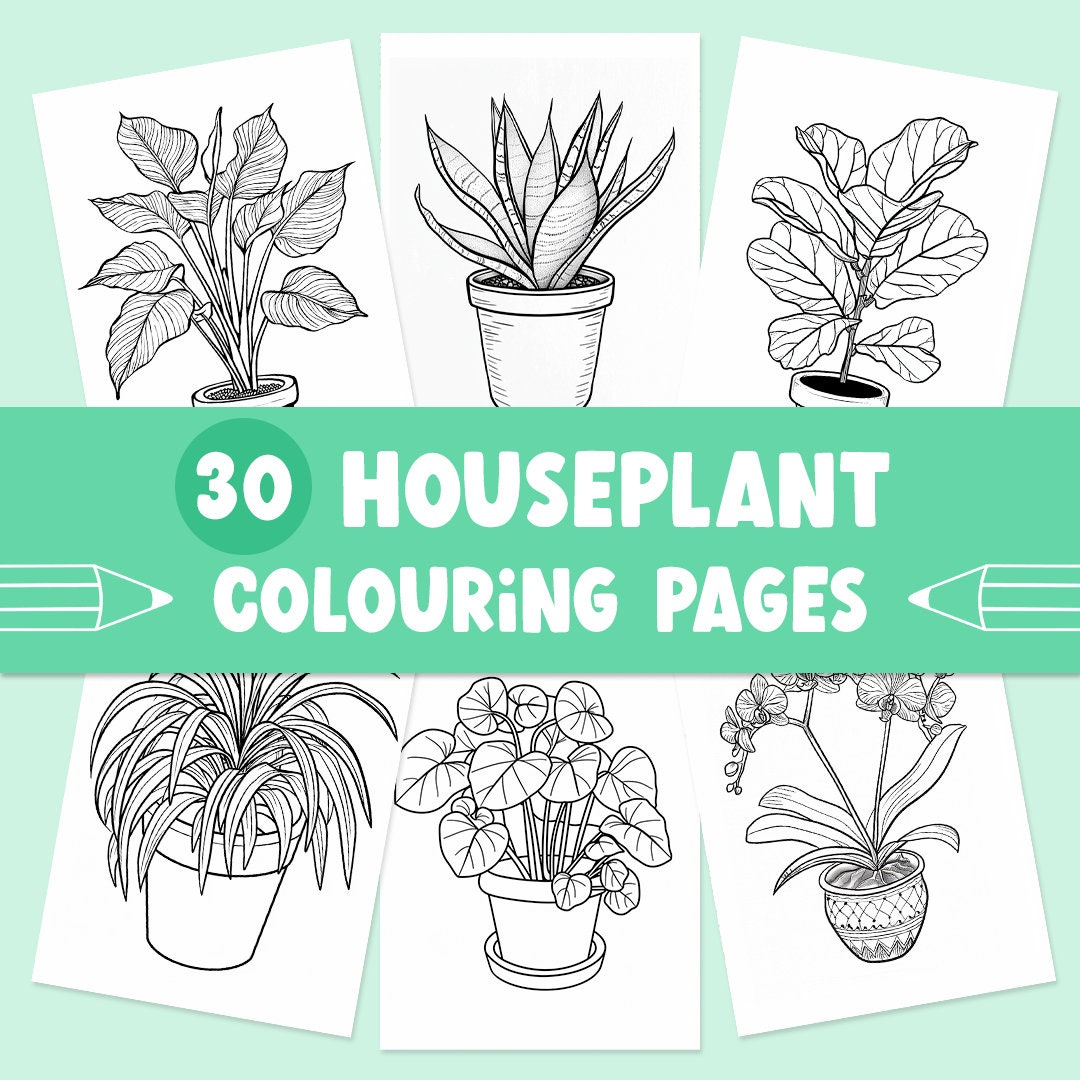 30 Digital Houseplant Colouring Pages Bundle A4 & Letter Instant ...