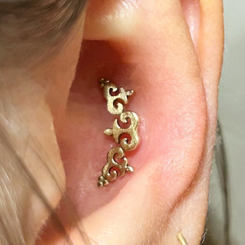 Conch Earring - Etsy