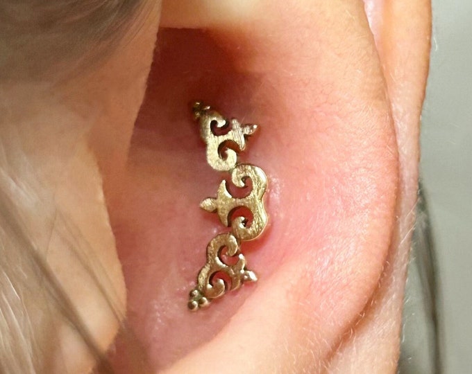 Conch Earring Stud, Conch Piercing Stud, Conch Jewelry Stud, Conch Stud ...