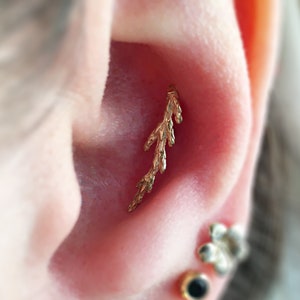 Conch claw earring store