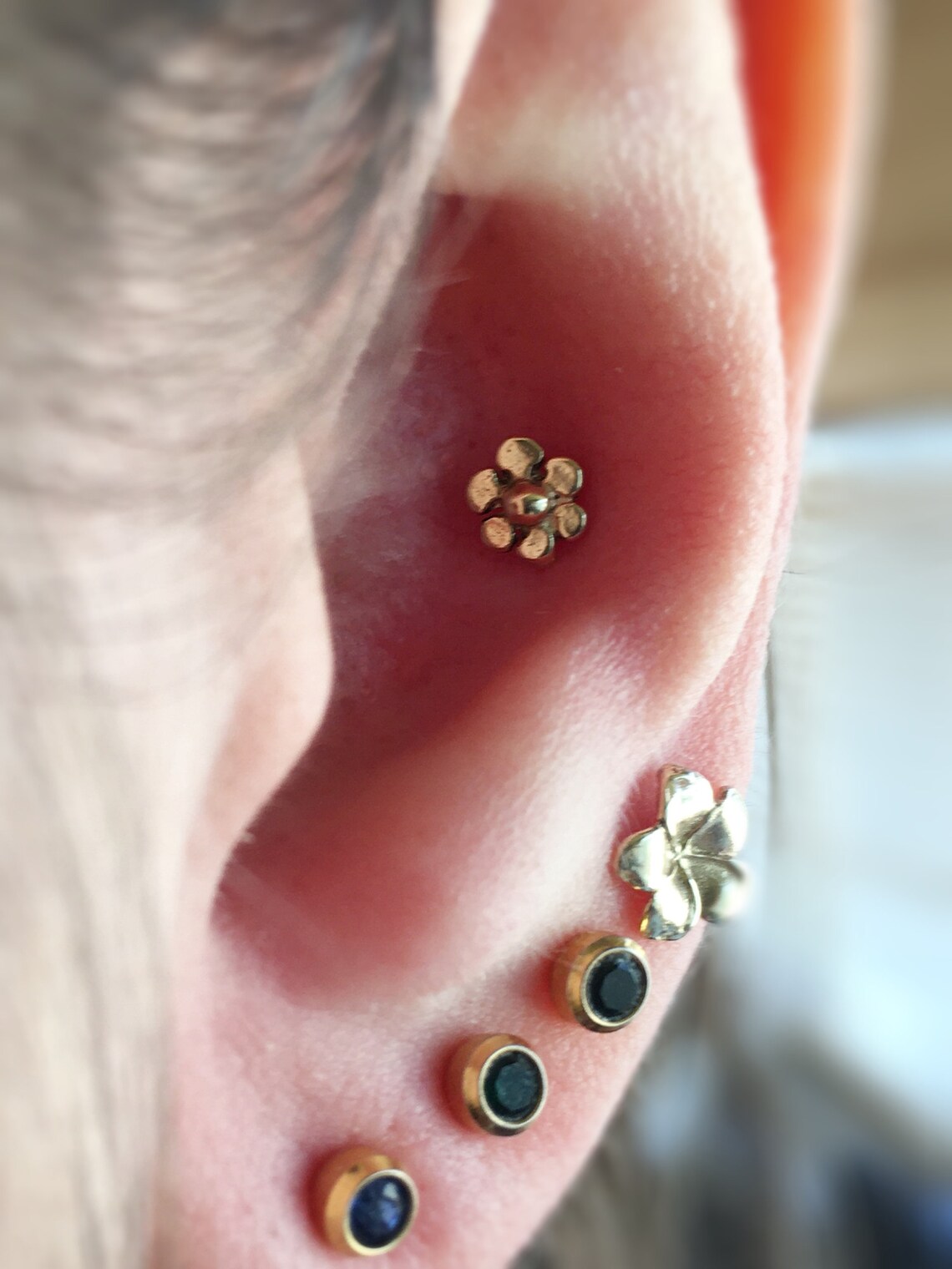 Conch Stud Earring 14K 18g Conch Earring Conch Jewelry Stud | Etsy