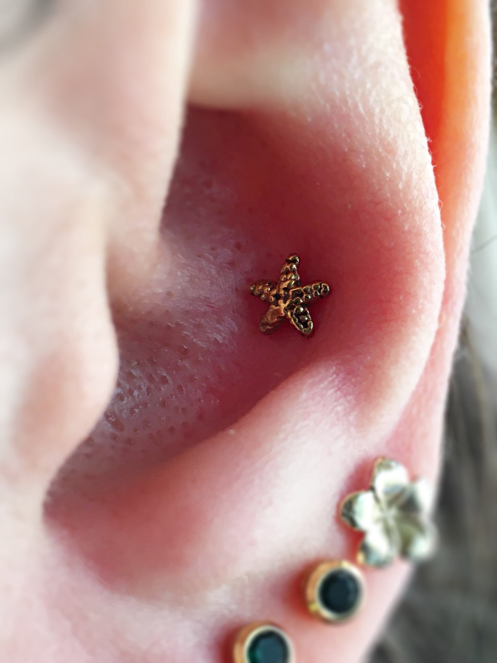 Conch Stud Earring Gold Conch Earring Stud 14K Conch - Etsy UK