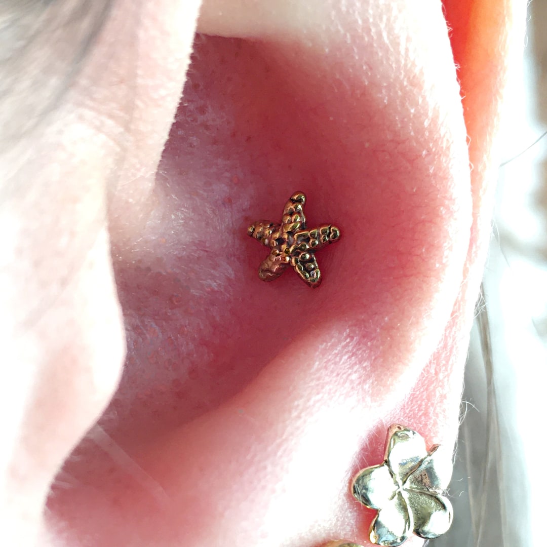 Conch Stud Earring Gold, Conch Earring Stud 14K, Conch Piercing Jewelry ...