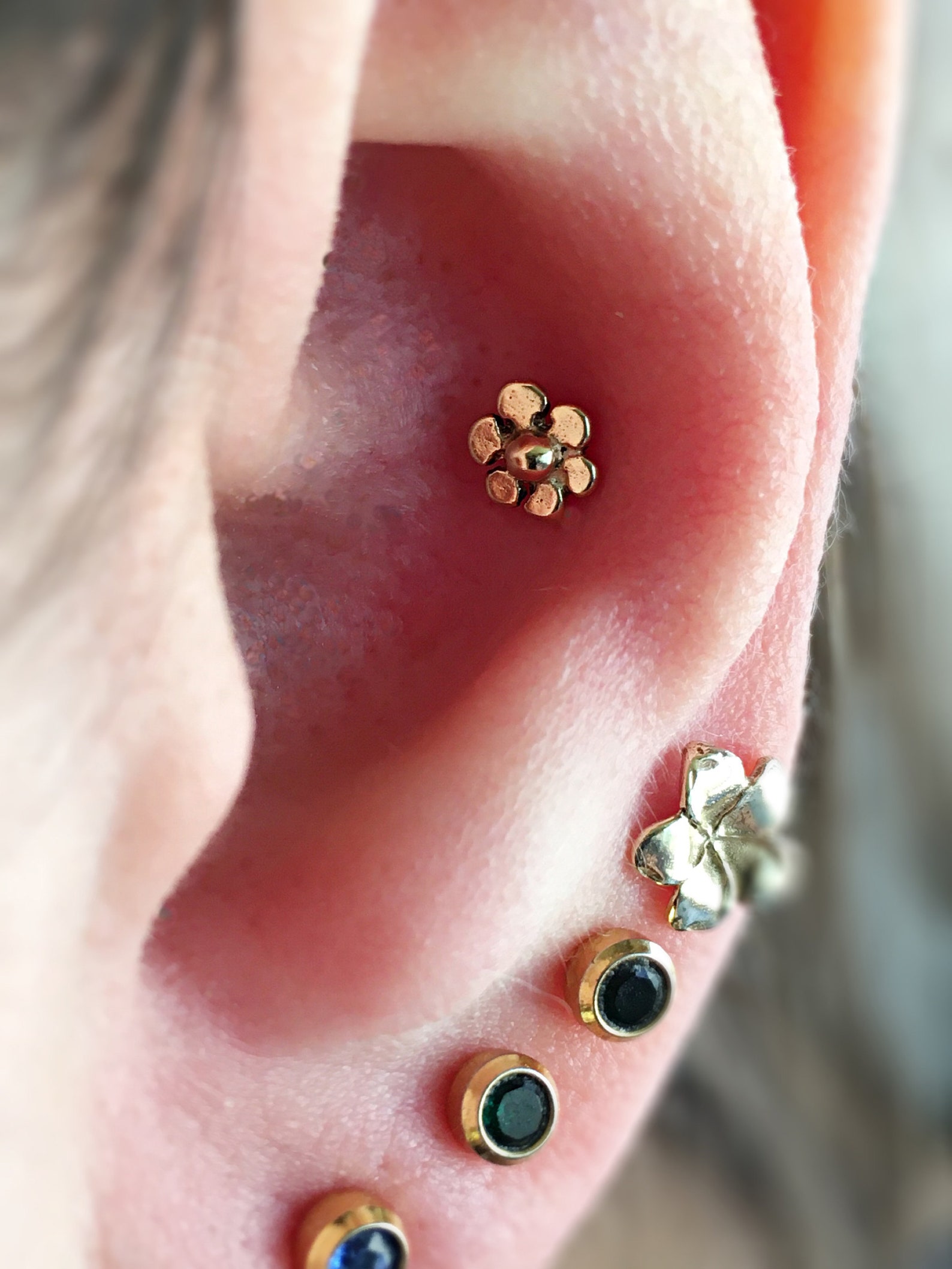 Conch Stud Earring 14K 18g Conch Earring Conch Jewelry Stud | Etsy