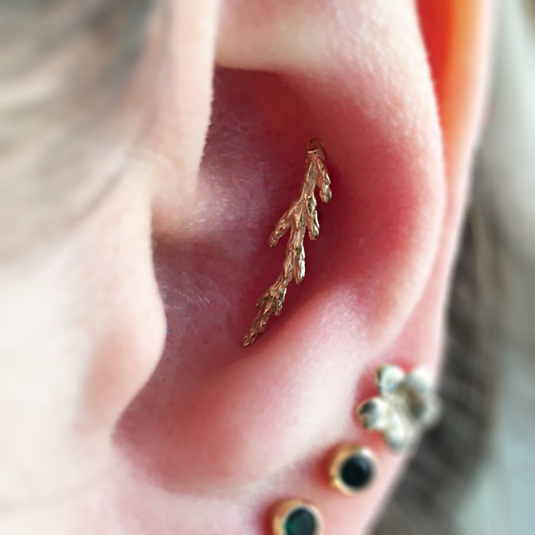 Conch Stud Gold, Conch Piercing Jewelry, Conch Earring Stud, Conch ...