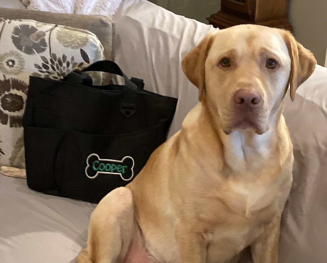 Personalized Dog Tote Bag Organizer Travel Accessory Puppy Gift Idea ...
