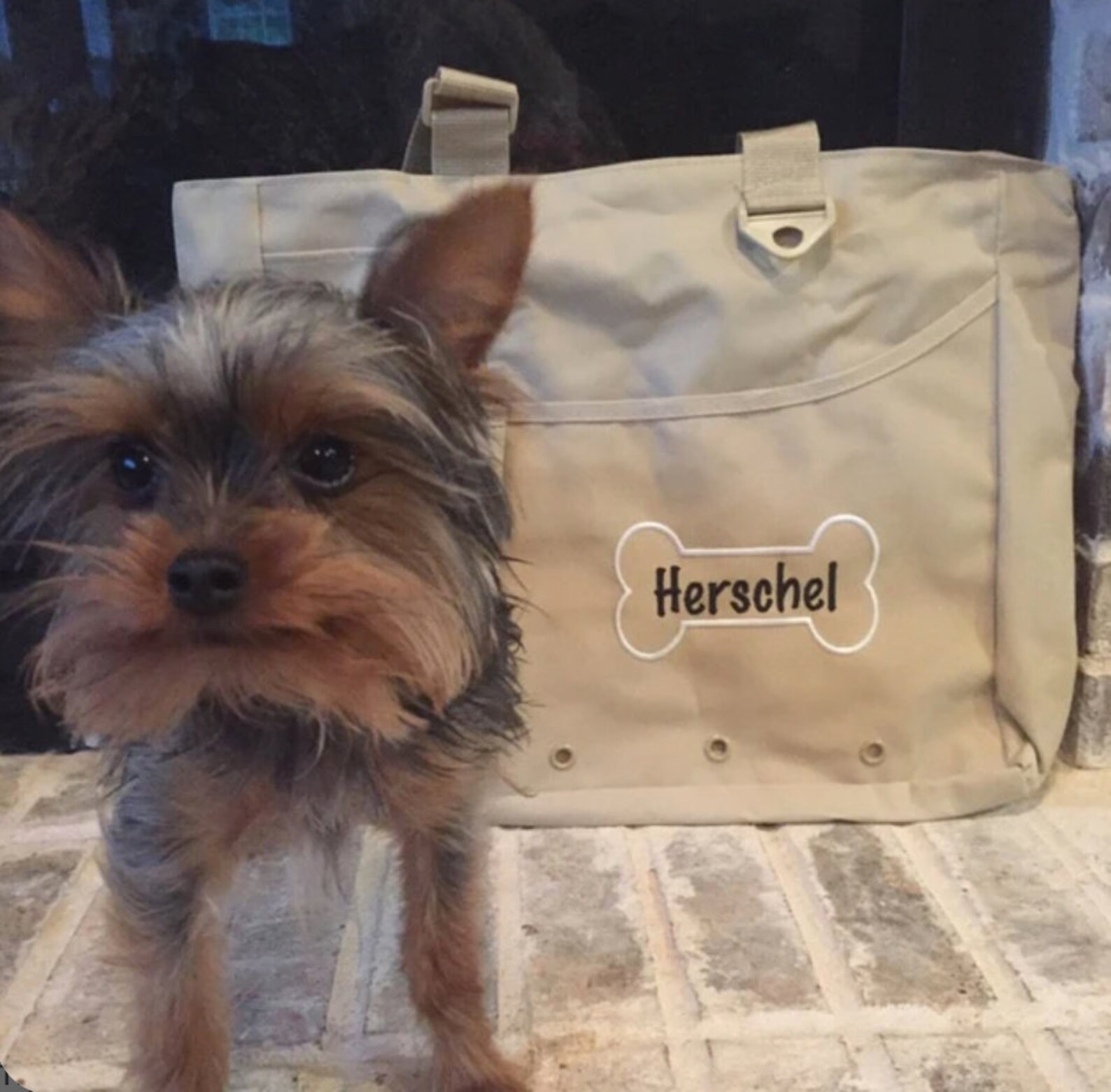 Personalized Pet Bag Pet Tote Durable Dog Bag Dog Bag - Etsy