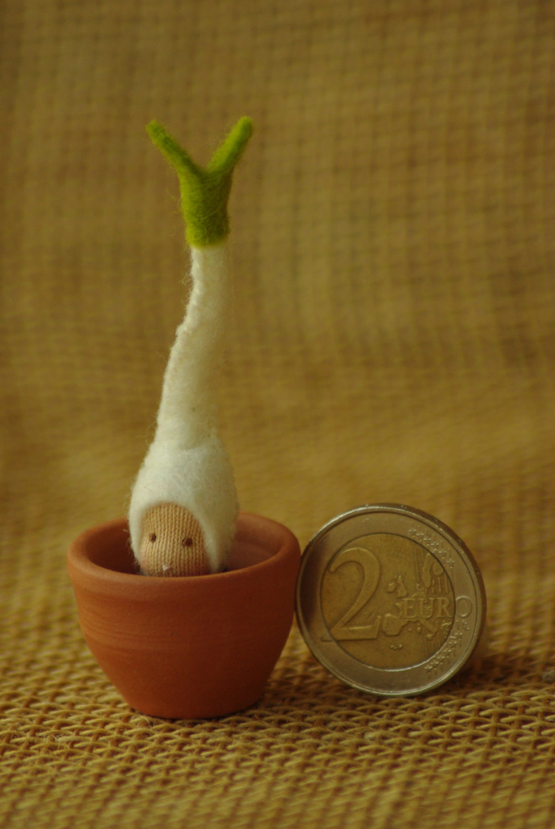 Baby Sprout Birth Announcement New Mom Gift - Etsy