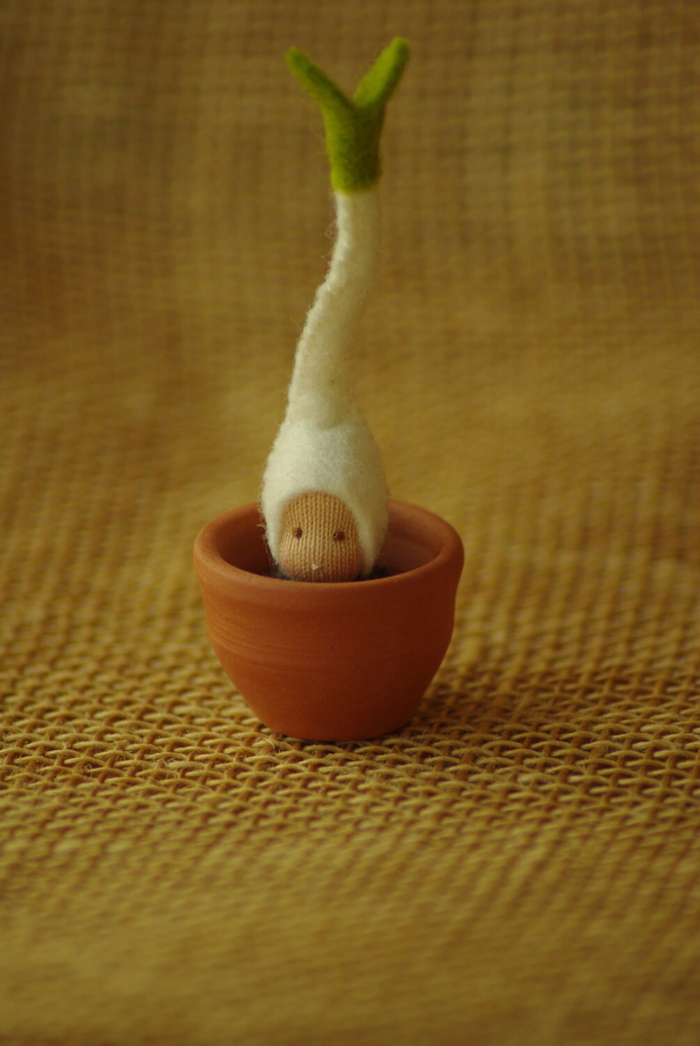 Baby Sprout Birth Announcement New Mom Gift | Etsy