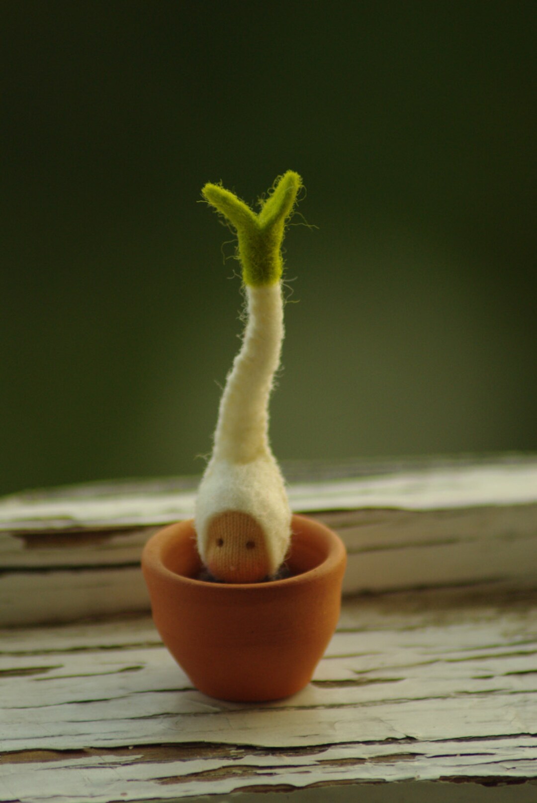 Baby Sprout Birth Announcement - New Mom Gift - Spring Unique Gifts ...