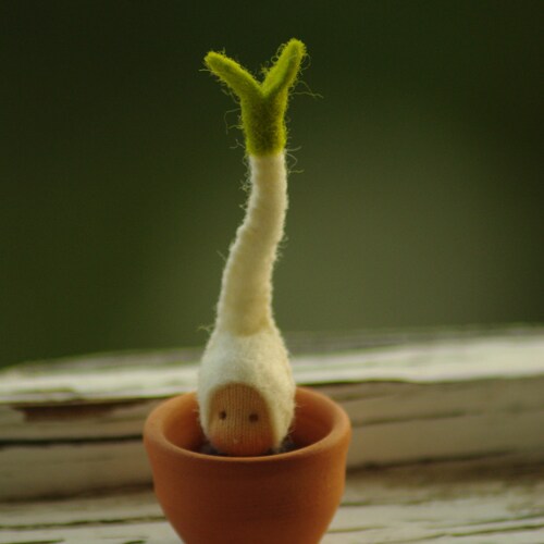 Baby Sprout Birth Announcement New Mom Gift - Etsy