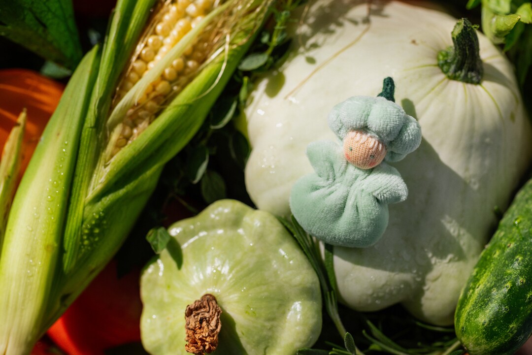 Pattypan Squash Little Waldorf Doll - Holiday Favors - Supernatural ...