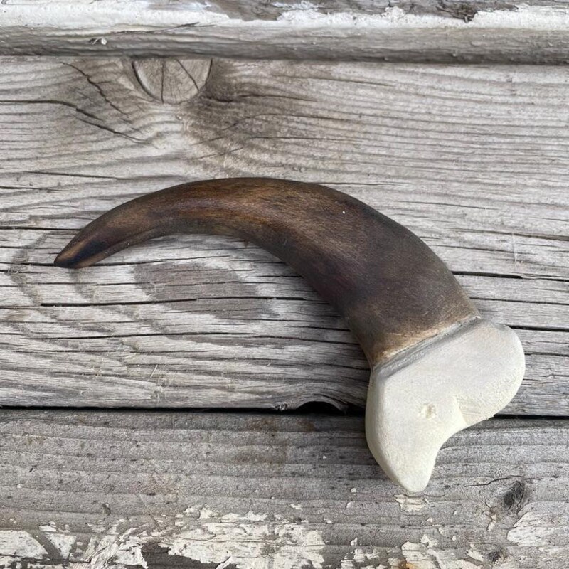 Bear Claw - Etsy