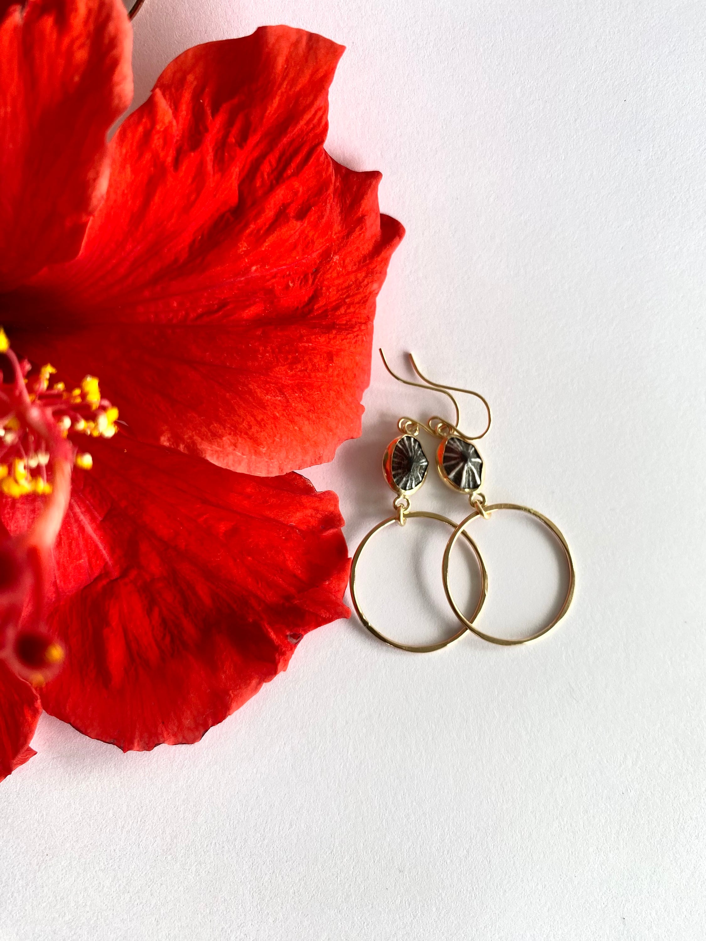 Opihi & Hanging Hoop Earrings Opihi & Hanging Hoop Earrings