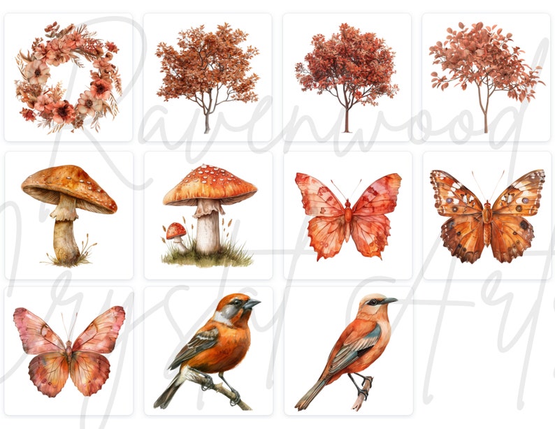 Terracotta Clipart Pack - Transparent Background - Terracotta Orange ...