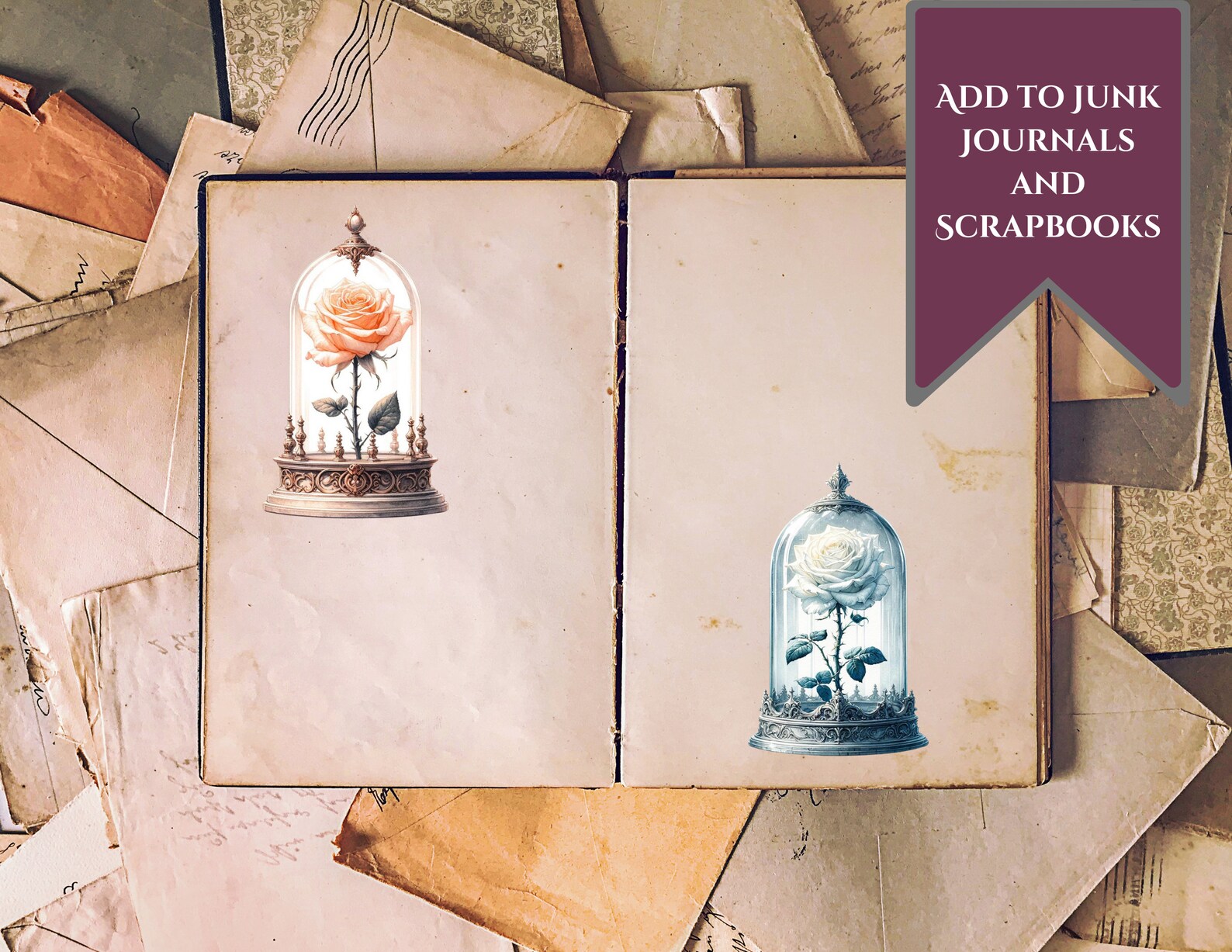 Enchanted Rose Clipart Pack Transparent Background Enchanted Roses ...