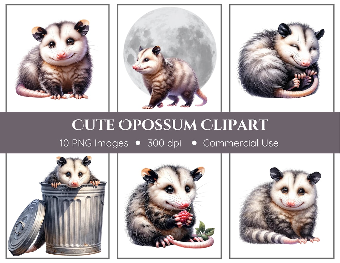 Opossum Png | Cute Opossum Clipart | Playing Possum | Opossum With ...