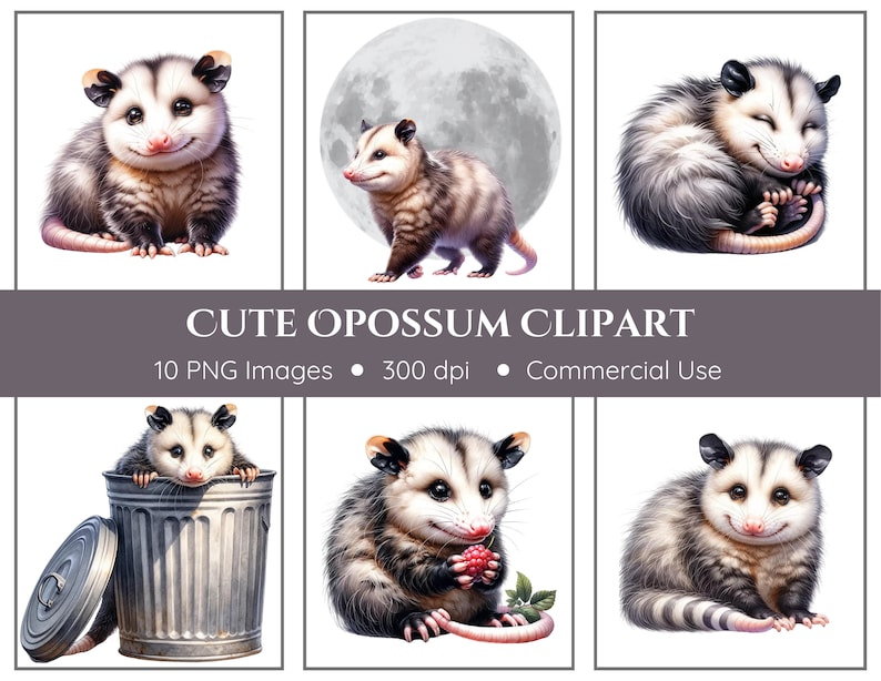 Opossum Png Cute Opossum Clipart Playing Possum Opossum With Trash Can ...